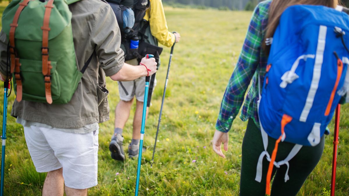 Mastering Muddy Climbs: Choosing the Best Muddy Climbing Sticks | Gear ...